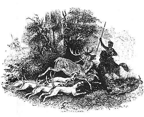 Welsh Mythology and Legends: Where to Experience the Stories in Real ...